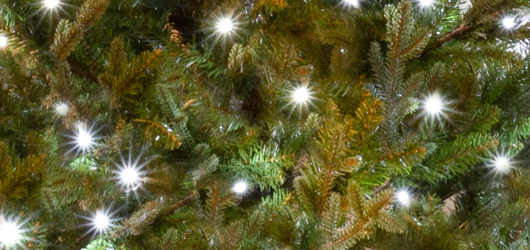 The Best Outdoor Christmas Lighting - Solar Centre Blog